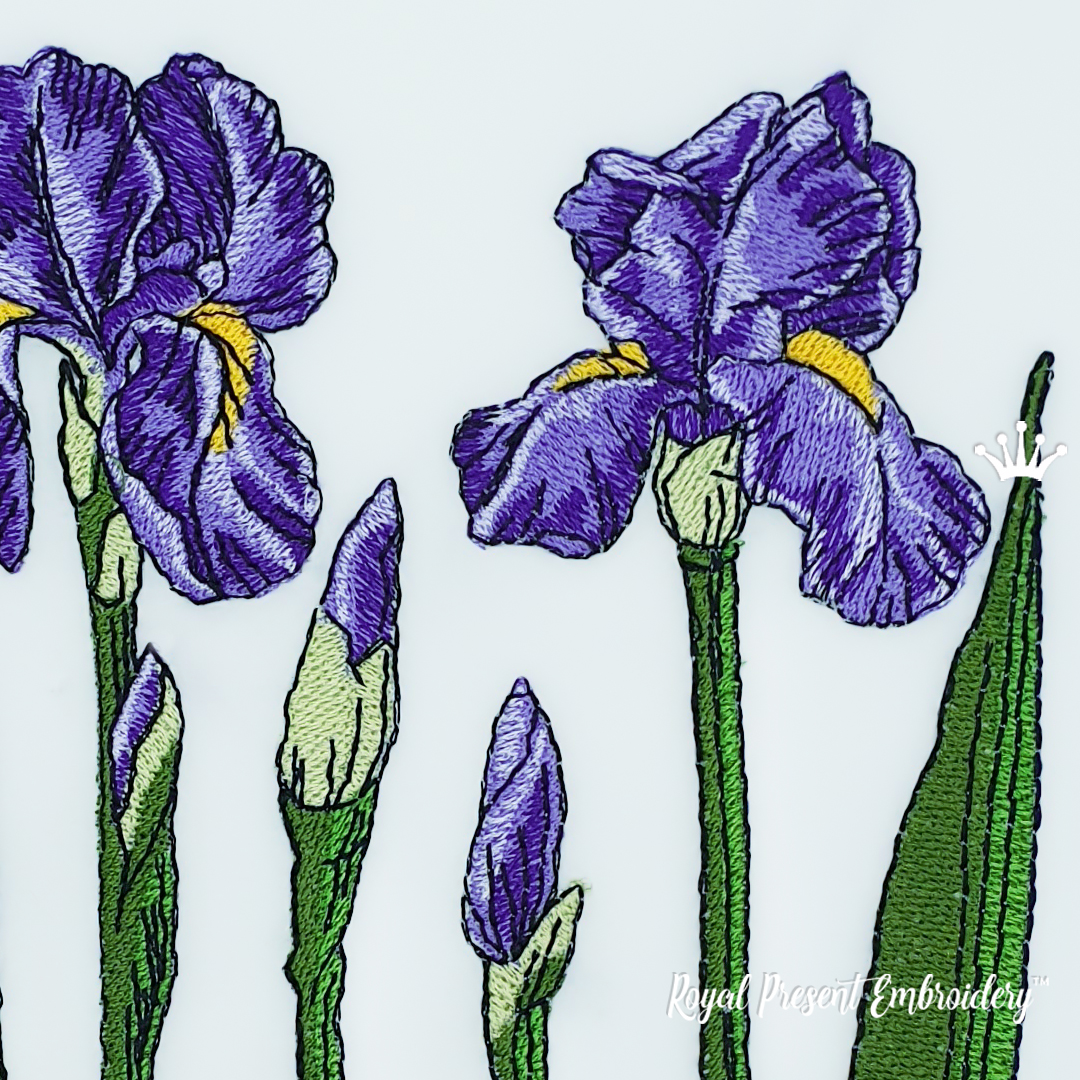Irises Flowers Machine Embroidery Designs - 3 sizes | Royal Present ...