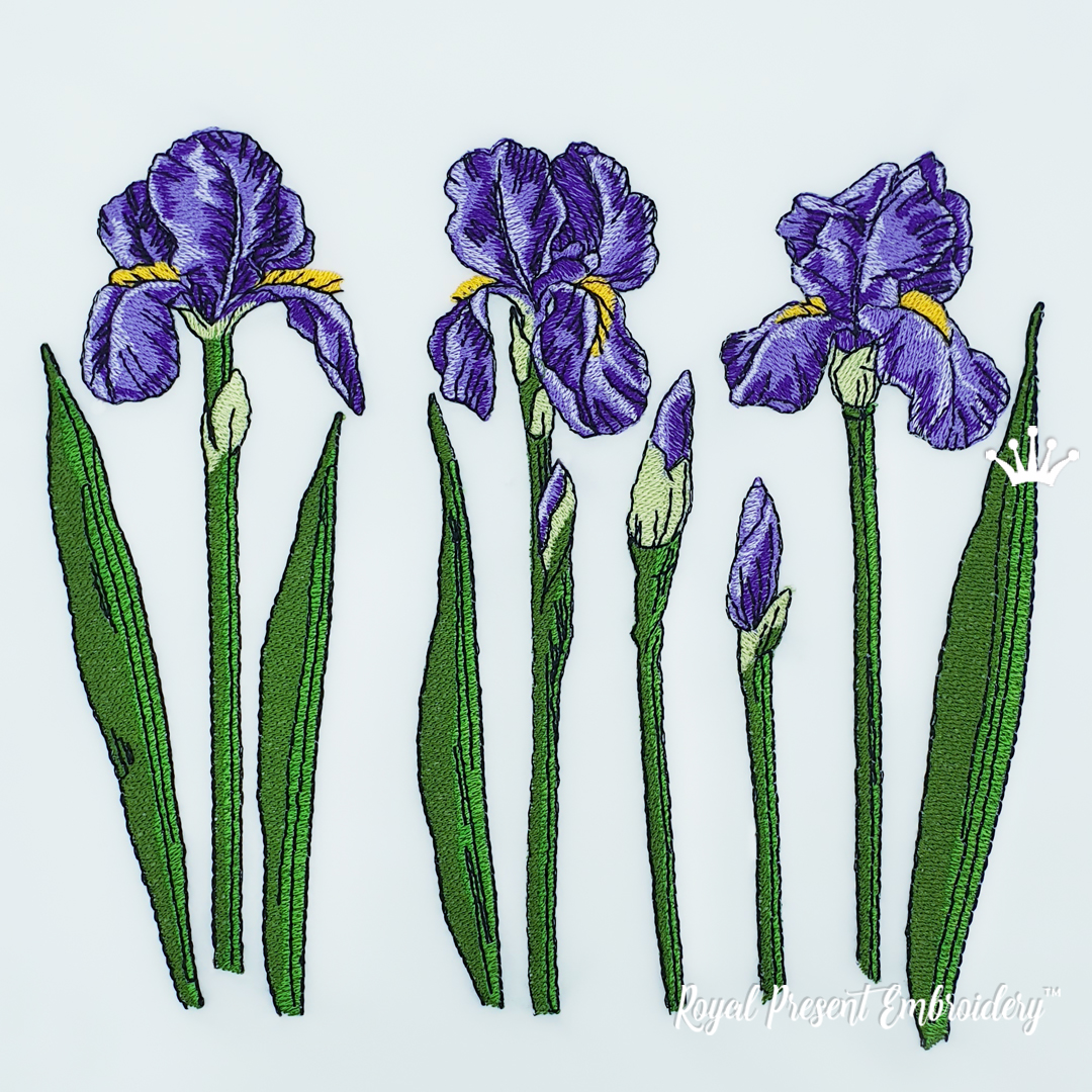 Irises Flowers Machine Embroidery Designs - 3 sizes | Royal Present Embroidery