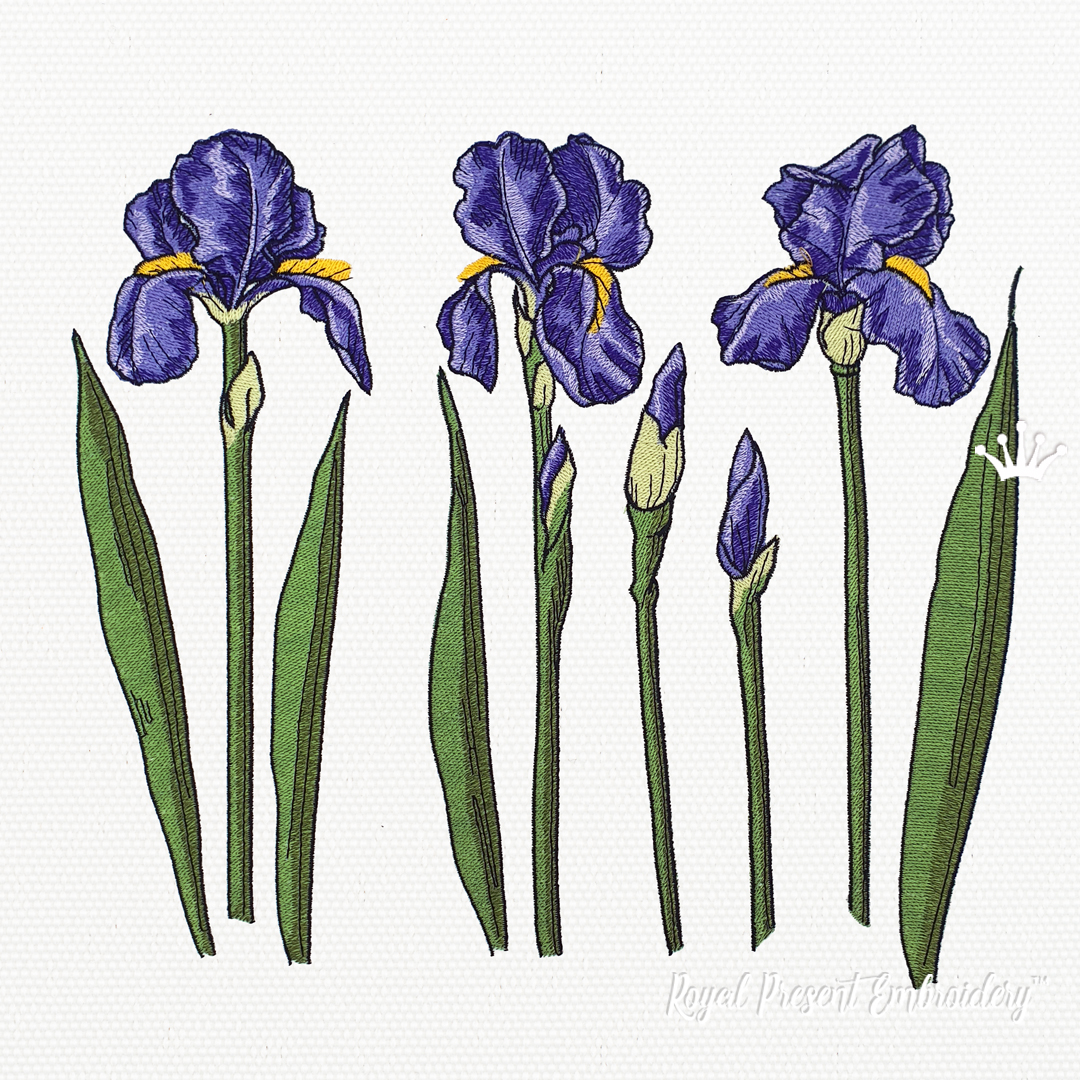 Irises Large Machine Embroidery Designs Set - 3 Sizes | Royal Present ...